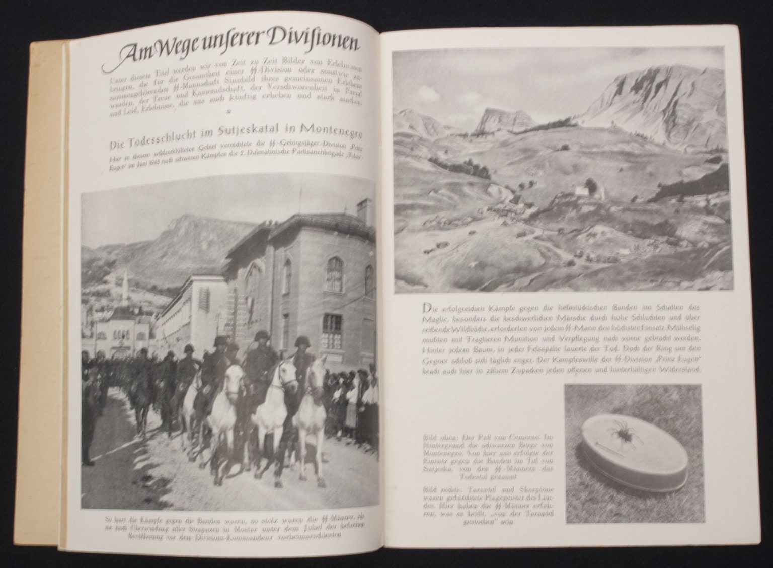 (Brochure) SS-Leitheft 10. Jahrgang. Heft 1 (1944)